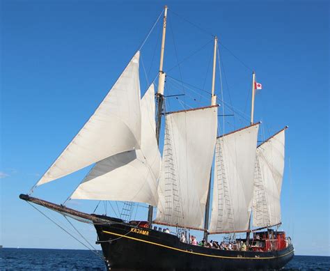 Tallship Cruises All You Should Know Before You Go W 2026 Reviews