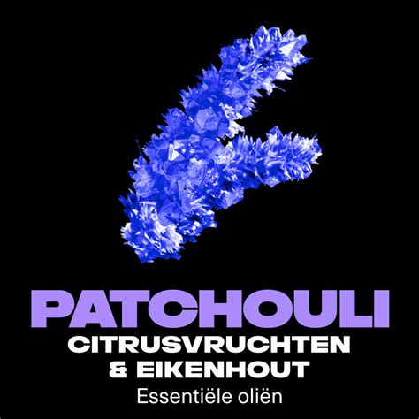 Axe Deodorant Bodyspray Purple Patchouli 150 Ml Plein Nl