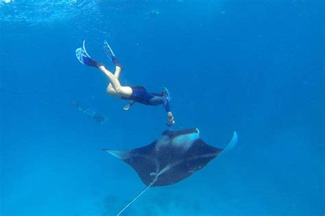 Unicorn Indorent Bus Sleeper Rute Fasilitas And Harga Tiket