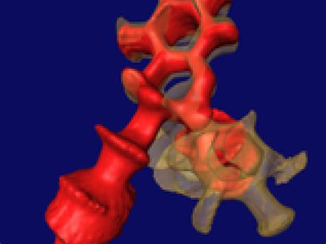 Modeling And Optimization Of Functional Molecules Zibde