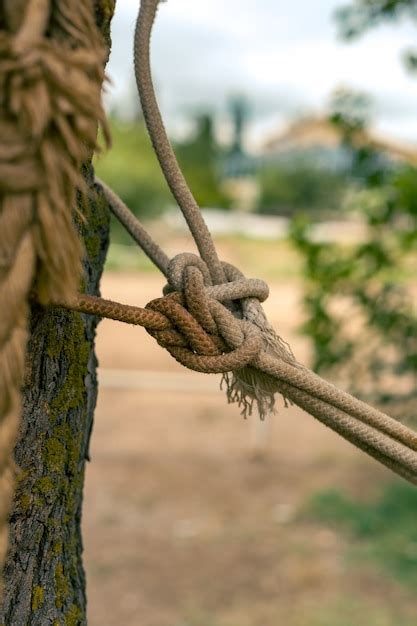 Premium Photo Rope Tied To A Tree Sea Knot