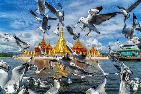 Mount Makiling Forest Reserve Asean Centre For Biodiversity