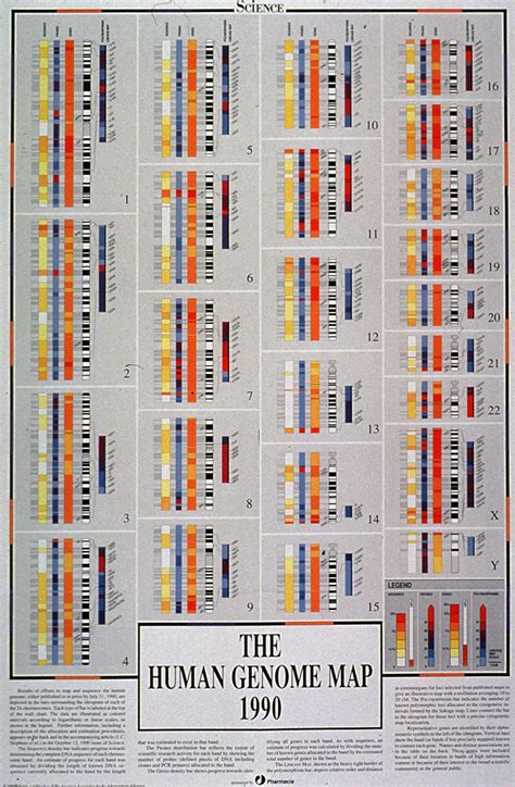 Revealing Data Visualizations In Historical Collections Circulating