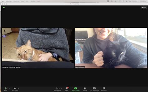 Raychel Barkin She Her Raychel Barkin Twitter