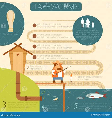 Tapeworm Life Cycle Vector Illustration 33779676