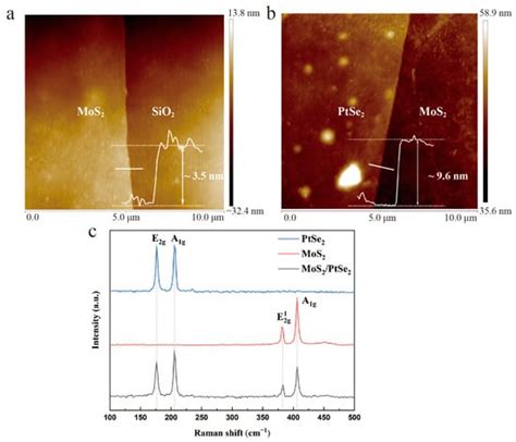 Highly Responsive And Self Powered Photodetector Based On Ptse2mos2 Heterostructure