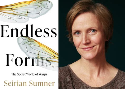 Seirian Sumner Bath Topping And Company Booksellers Of Bath