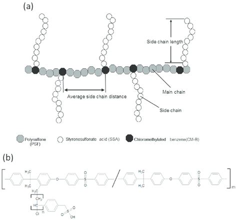A Proposed Structure And B Chemical Structure Of A Graft Copolymer