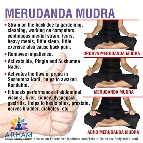 Merudanda Mudra Urdhva Arham Detox For Body Mind Soul Facebook