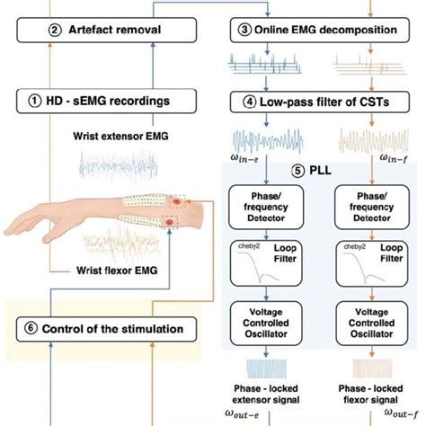 Closed Loop Tremor Suppression System Flow Chart Download Scientific