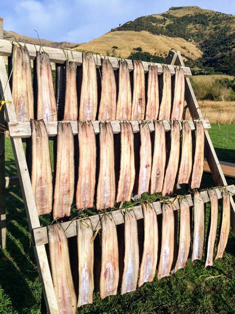 Ngā Whāinga Challenges Mahinga Kai Traditional Food And Other