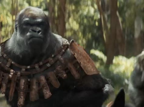 Shrikanth Earns Well On Weekdays Too શ્રીકાંતની કામકાજના દિવસોમાં પણ સારી કમાણી કલેક્શન