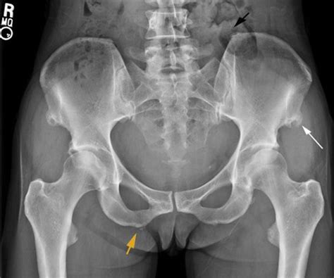 National Regenerative Medical Practice Stem Md