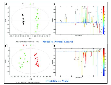 A C Opls Da Score Plots And B D Efficient Loading Plots Derived Download Scientific