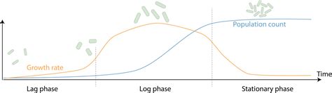Shape Matters And Matters Of Shape The Interplay Between Cell