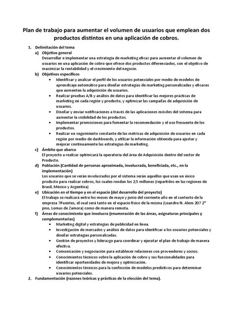 Pps2 Plan De Trabajo Pdf Marketing Publicidad