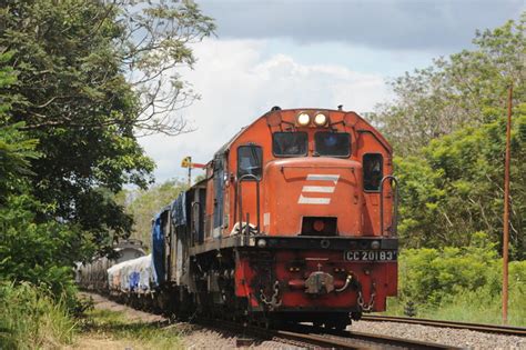 晴れていれば背後に山が見えるのであるが、あいにく天候で山など影もない。