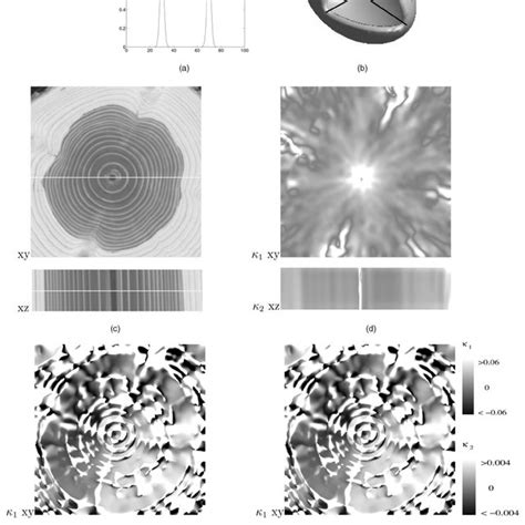 A Cross Sections Through An Ellipsoid Shell B An Ellipsoid Shell