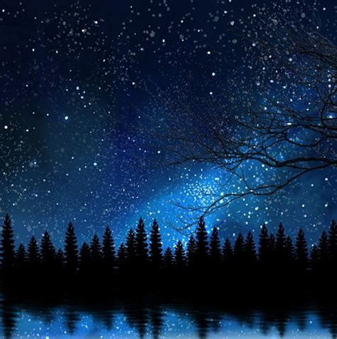 🔥 [20 ] Beautiful Night Forest Wallpapers Wallpapersafari