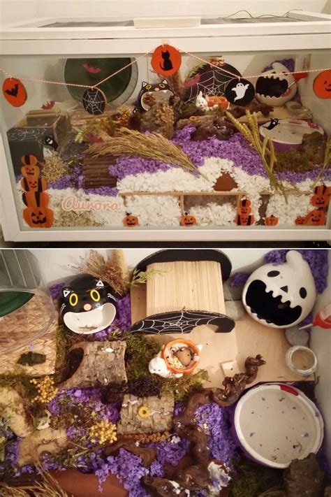 Hamster Halloween Cage Setup Hamster Cage Hamster Diy Cage Hamster