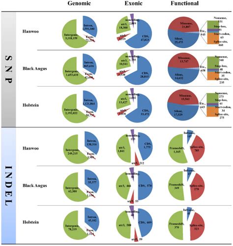 Genetic Variations In Hanwoo Black Angus And Holstein Download