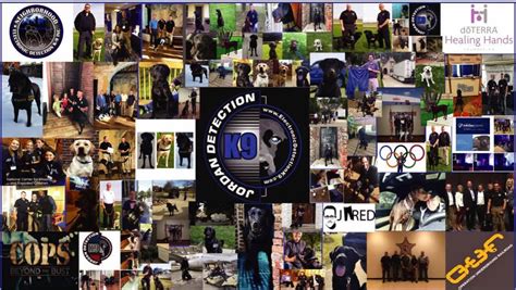 Jordan Detection K9 Electronic Detection K9 Home Facebook