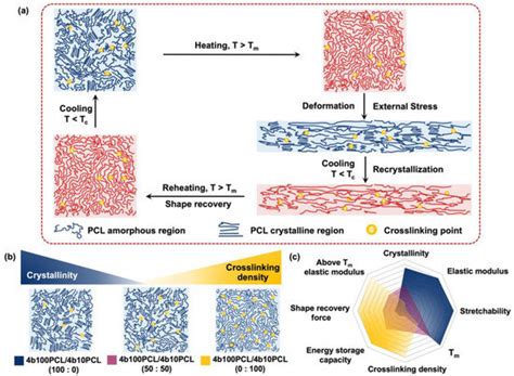Polymers Special Issue Shape Memory Polymers Iv