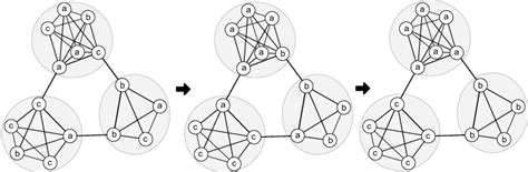 A Simple Simulation Of The Label Propagation Process For Community