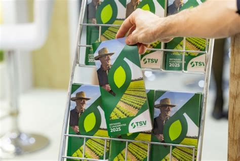 Tsv Sementes Inicia Nova Fase Com Portfólio Ampliado