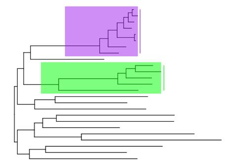 Phylogenetic Trees