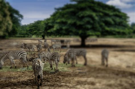 2 Easy Ways To Blur Edges In Photoshop Step By Step