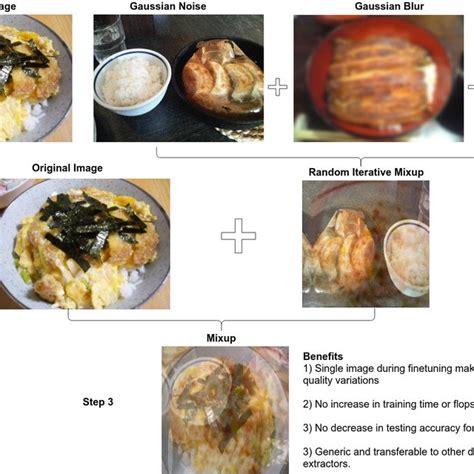 Proposed Data Augmentation For Quality Resilient Feature Extraction