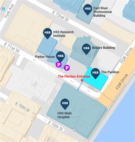 Peter J Moley Md Spine Sports Medicine And Hip Preservation