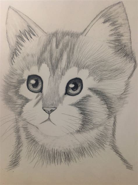 Animal Pencil Drawing At Getdrawings Free Download