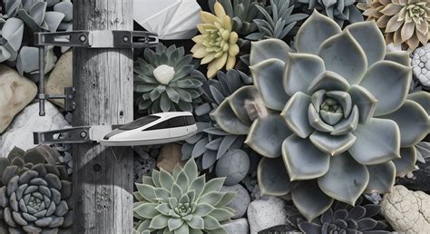 Economic Prosperity Definition → Term