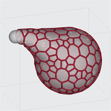 Cell Size Adaptivity Software