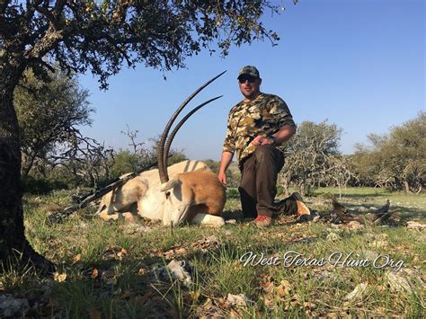 Exotic Hunts West Texas Hunt Organization
