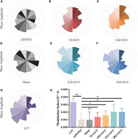 Long Term Gamma Transcranial Alternating Current Stimulation Improves The Memory Function Of