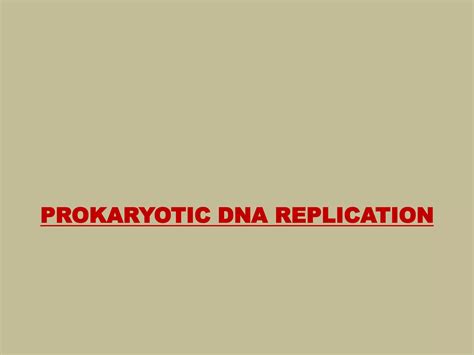 Prokaryotic Dna Replication Pptx Prokaryotic Dna Replication Pptx