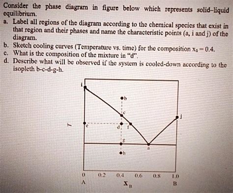 Solved Consider The Phase Diagram In The Figure Below Which