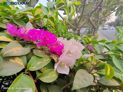 Iqoo G Gaming Smartphone Review