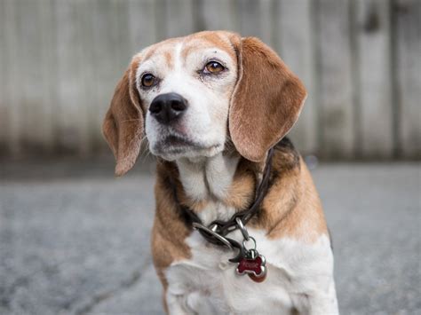 Fergie In Memoriam Aspect Structural Engineers