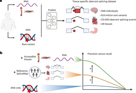 Github Gagneurlab Absplice