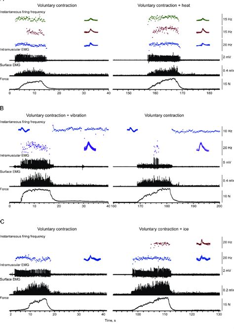 Motor Unit Firing Behavior Electromyographic Activity Emg And Force Download Scientific