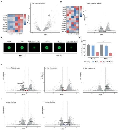 A Cytokine Gene Expression In Vitro Increased Expression Of Il12a