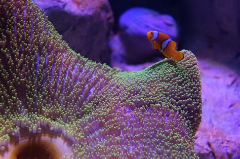 Hidden Reef On Behance