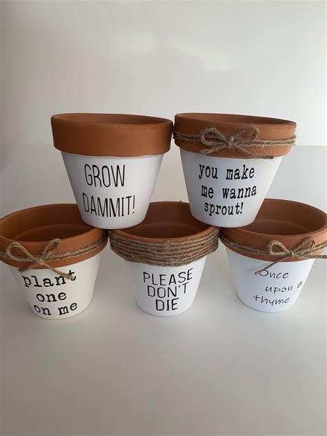 Punny Pots Etsy Flower Pot Sayings Cricut Flower Pots Diy Funny