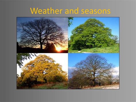 Weather And Seasons Ppt Download