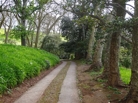 Dsc00082 James Smethurst Flickr