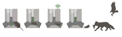 Aurotrap Killgerm Gmbh